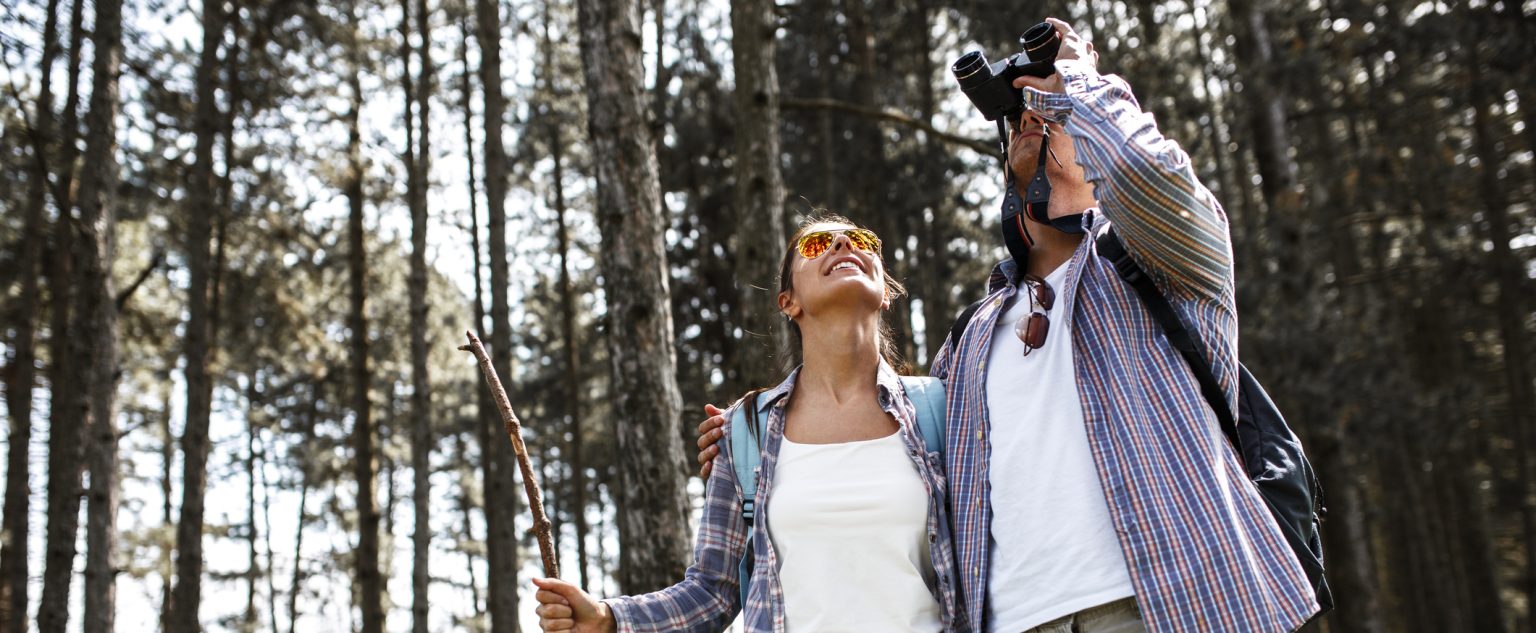 13 fun things to do for free and not spend money | Discover