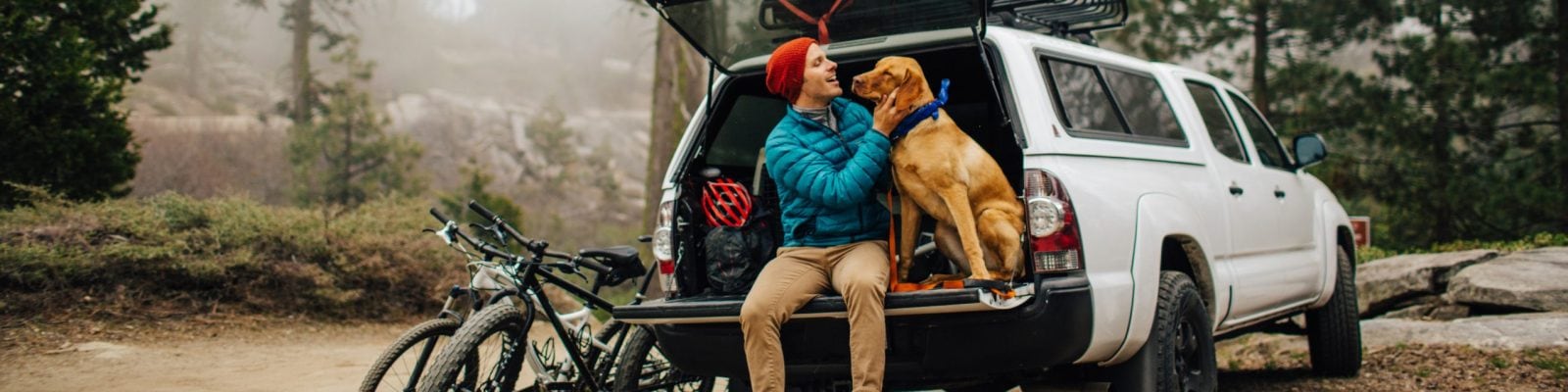 What happens when a CD matures: CD renewal options | Discover